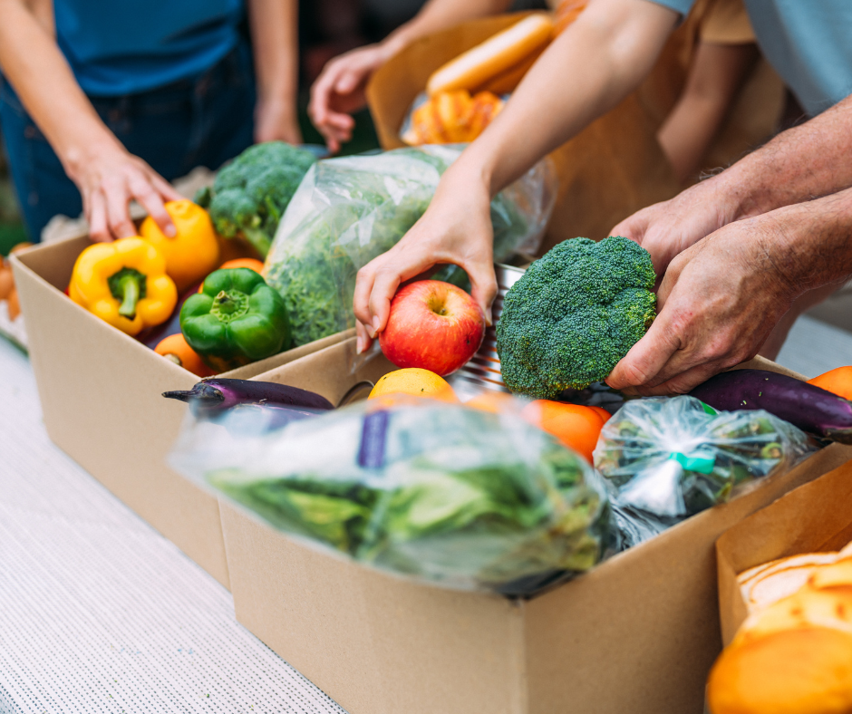 Triple wins for children's poverty food insecurity and health | Food Foundation